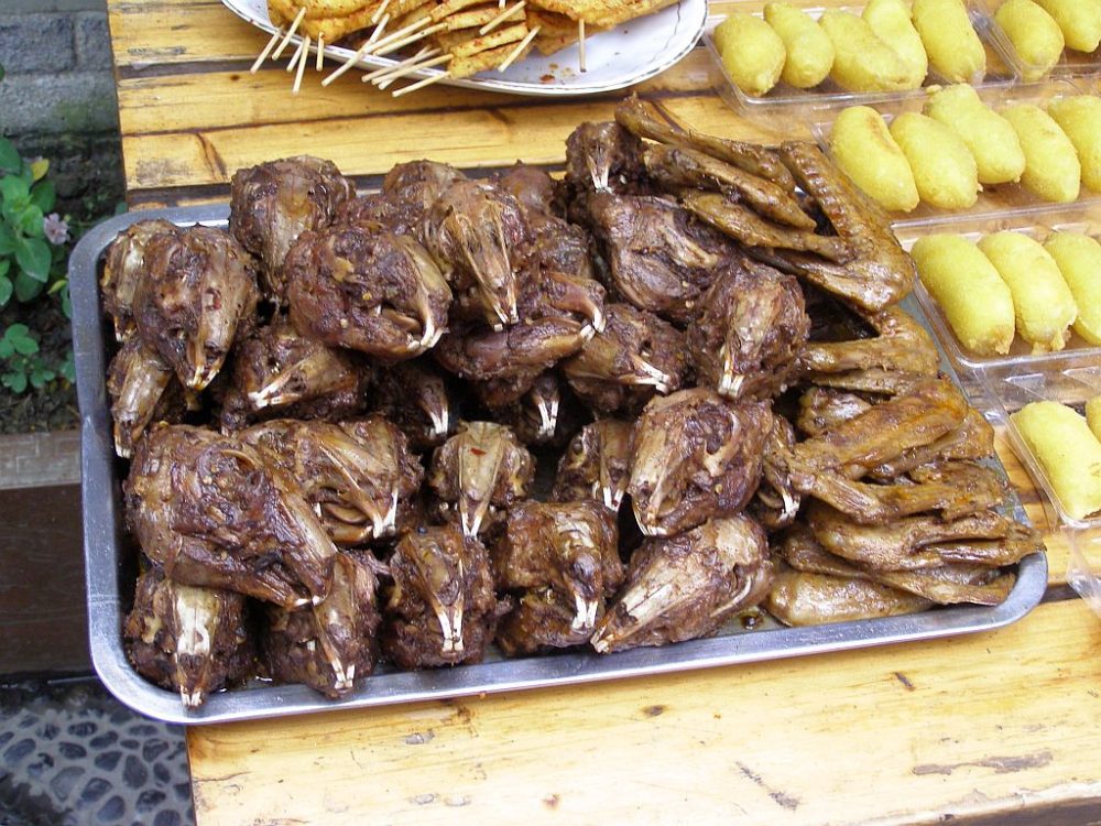 Chinesen essen alles! Wirklich? | Bambooblog Hamburg